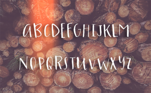 Eloise Font Free Download - Fonts Monster